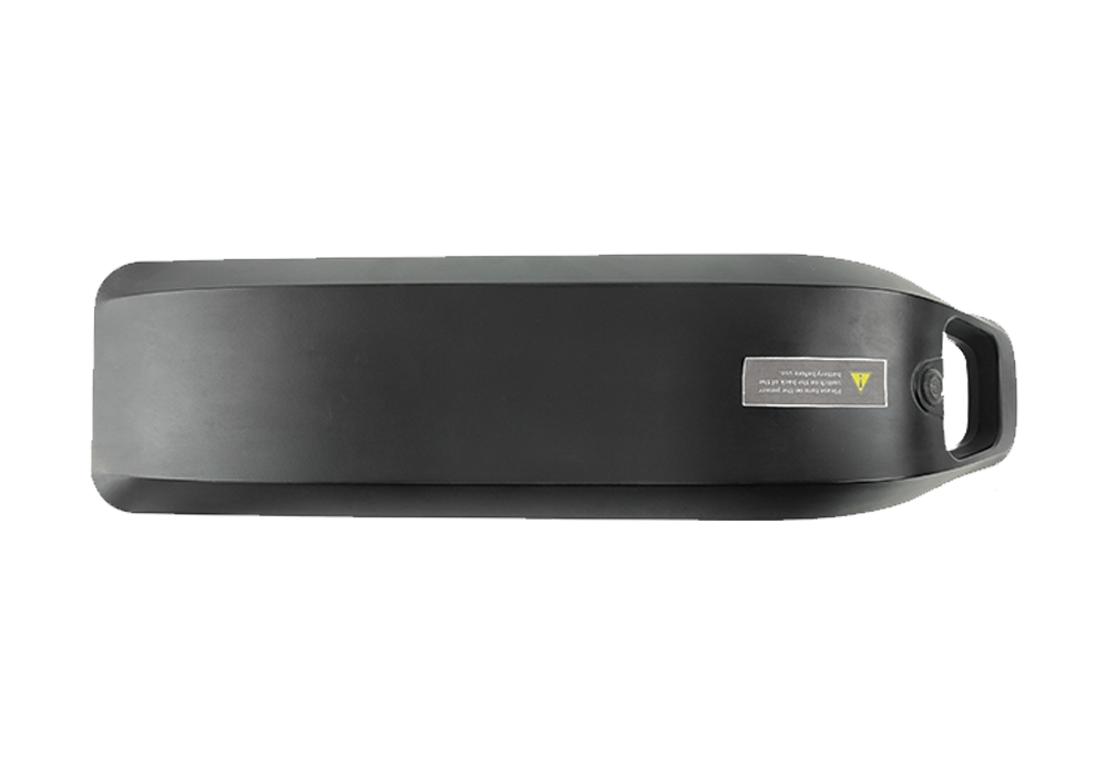 RAEV 48V8Ah Battery – Alien Rides